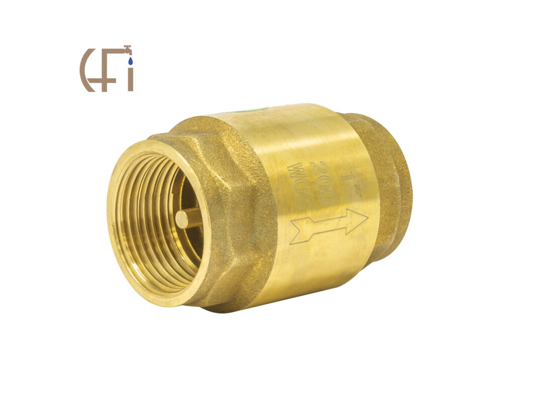 BRASS SPRING CHECK VALVE | Copperfit Industries