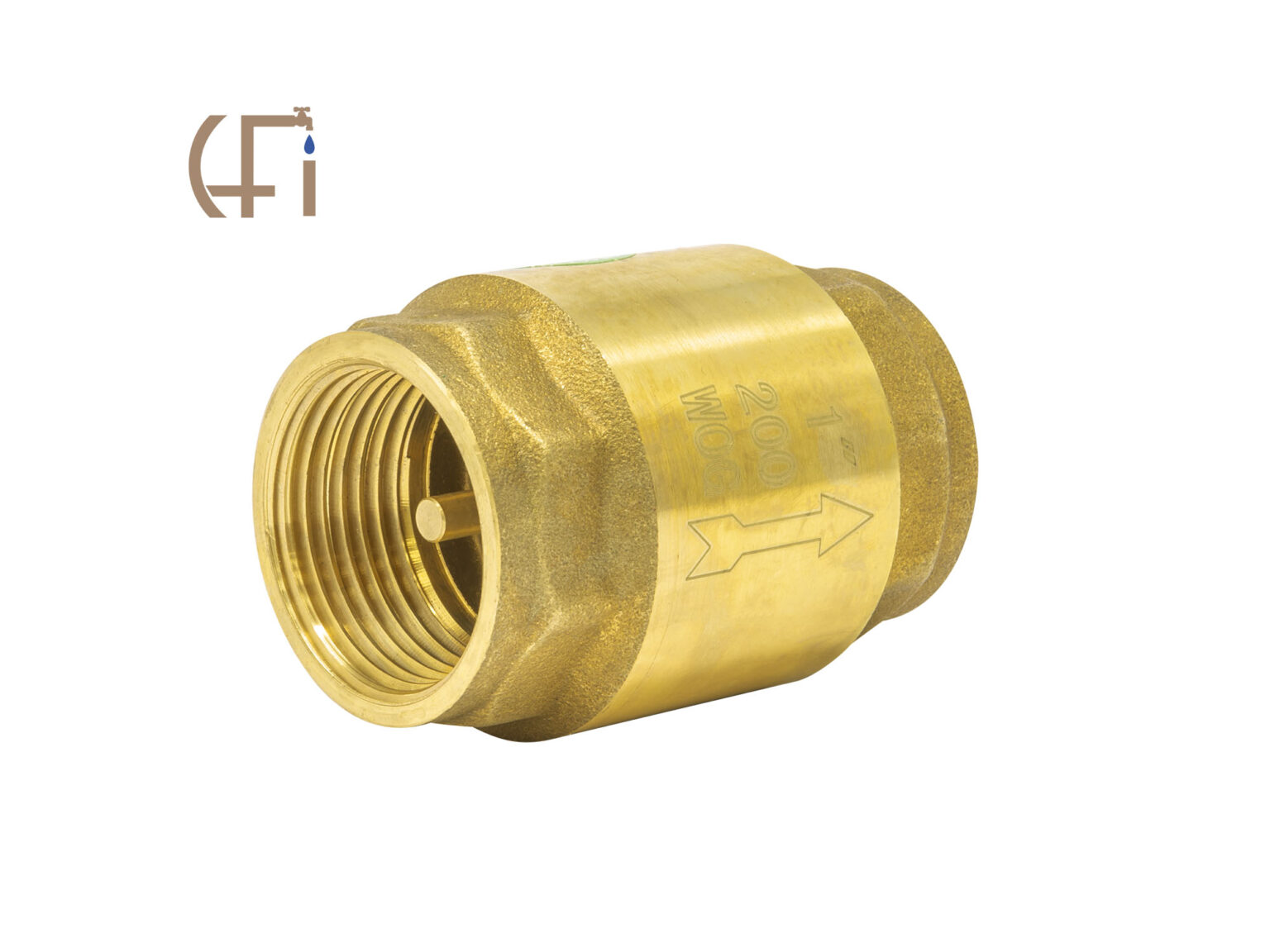 BRASS SPRING CHECK VALVE | Copperfit Industries